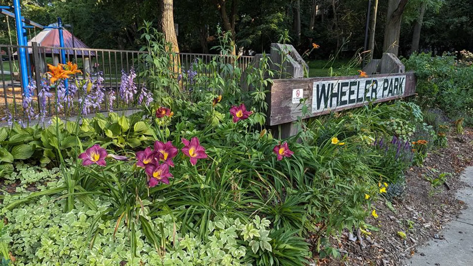 Wheeler Park | City of Ann Arbor