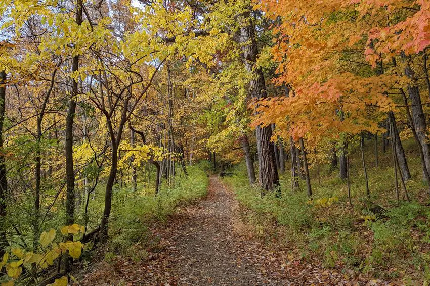 Cedar Bend Nature Area | City of Ann Arbor