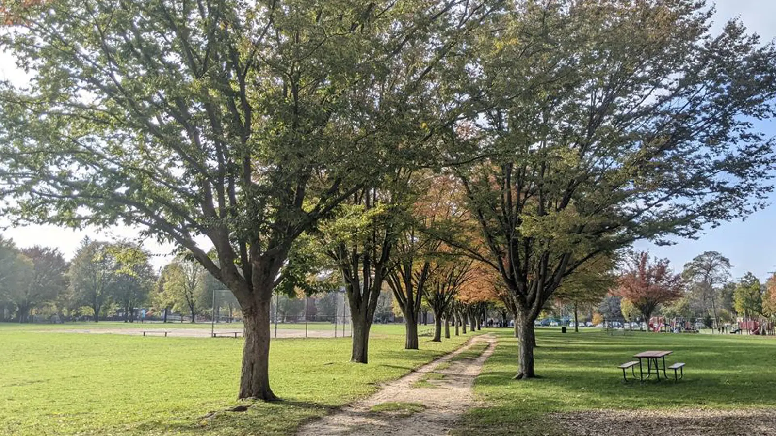 Burns Park | City of Ann Arbor