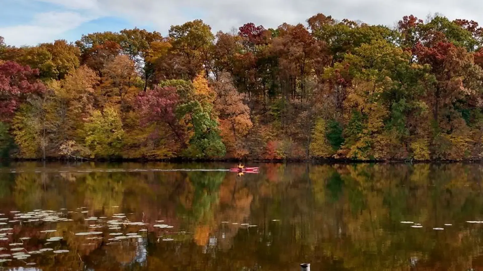 Argo Park & Nature Area | City of Ann Arbor
