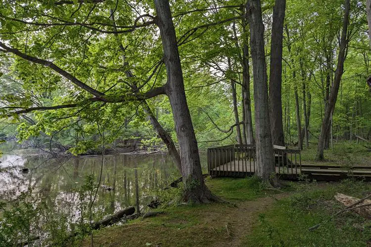 Sitemapcdatahttpthereferenznetoutback Ann Arbor Minull