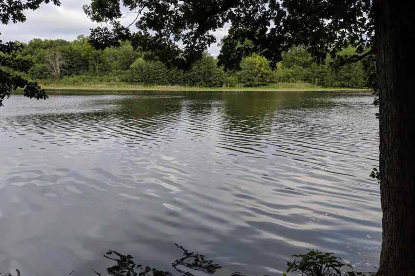 Argo Park & Nature Area | City of Ann Arbor