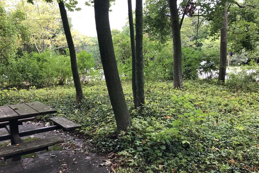 Postman's Rest Park | City of Ann Arbor