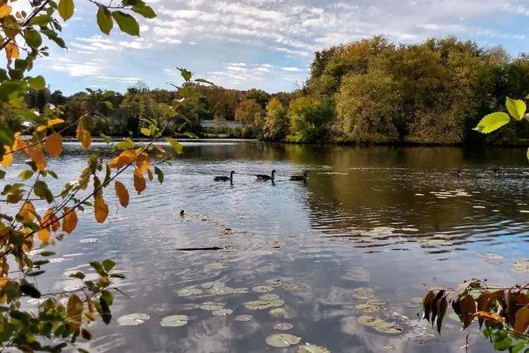 Gallup Park | City of Ann Arbor
