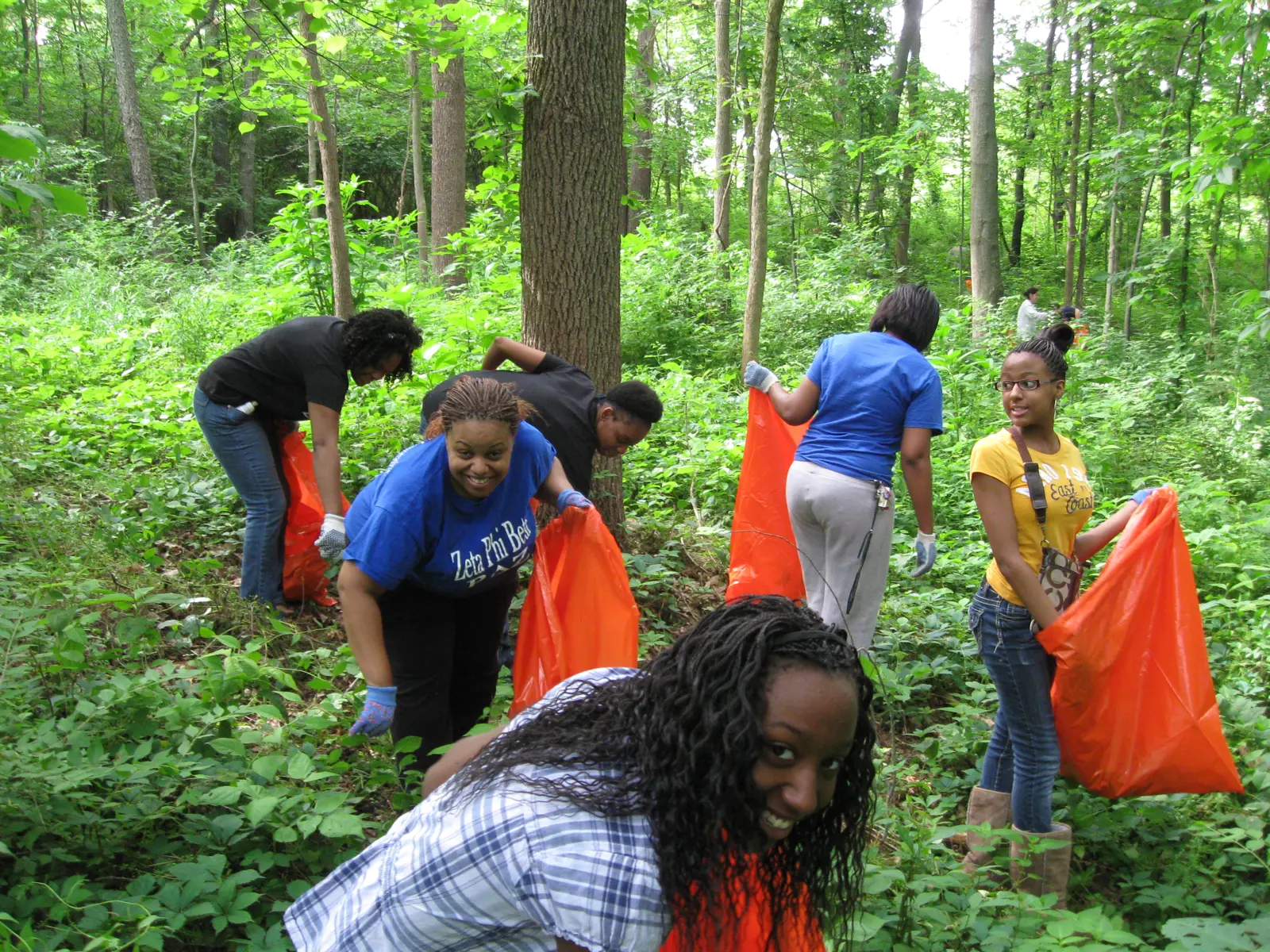 Volunteer in the Parks | City of Ann Arbor